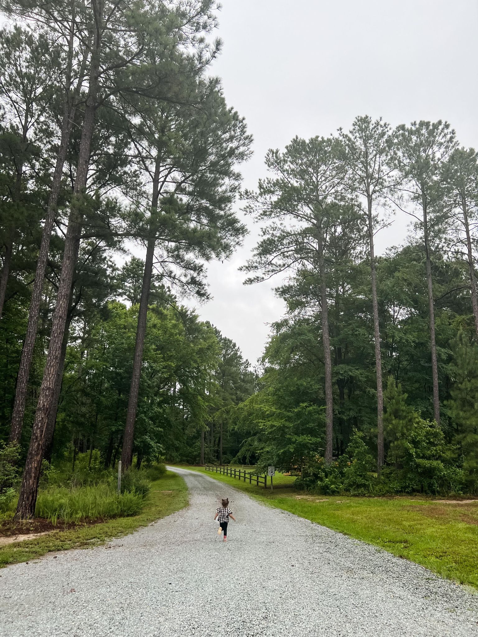 Talking Tree Trail at Jordan Lake Educational State Forest – Triangle ...